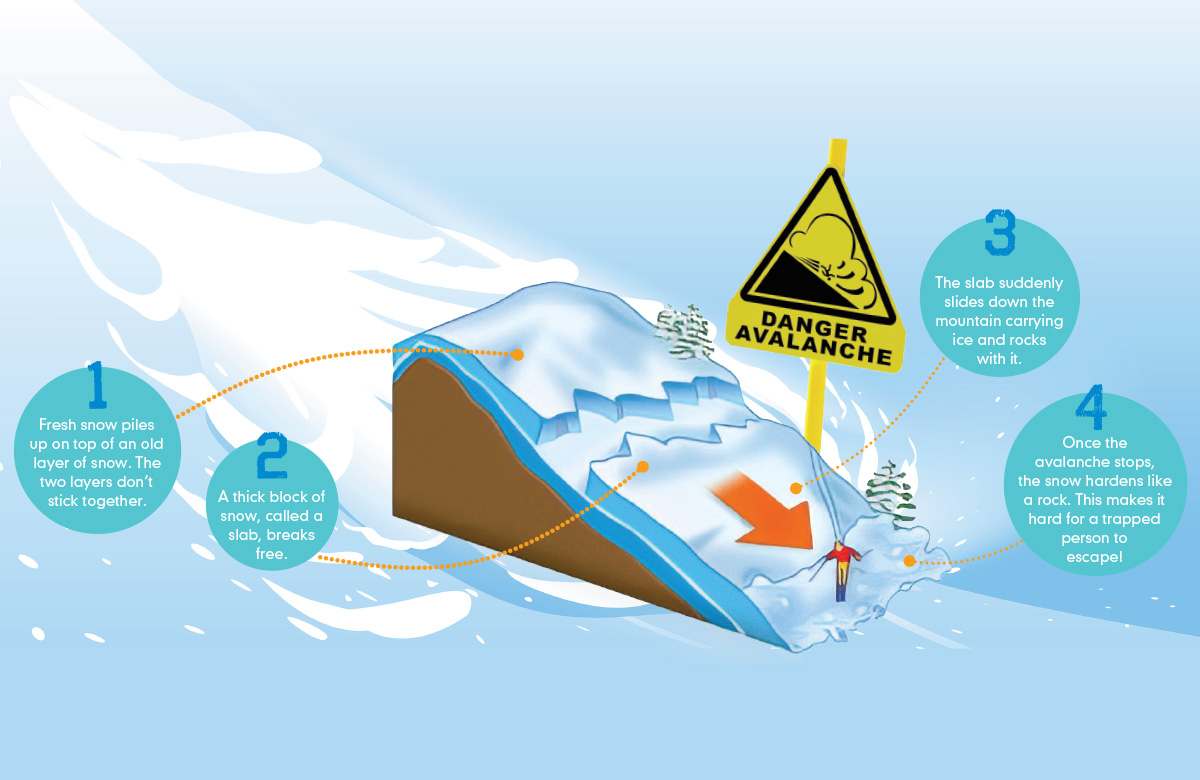 Snow Avalanche Diagram